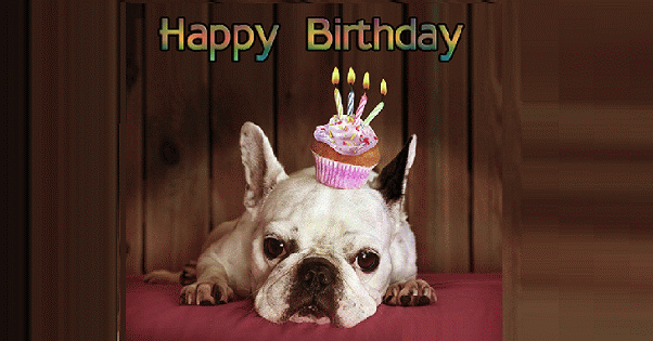 Dog, birthday greeting card - HBDAY.ART