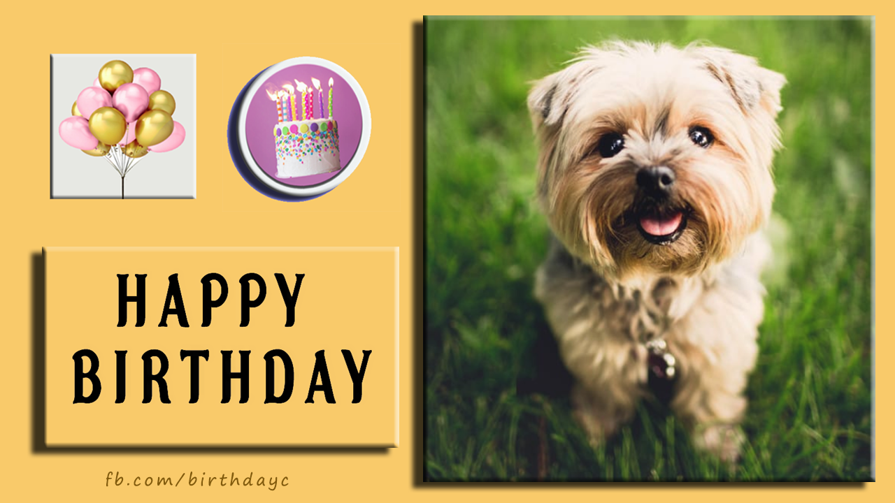 Funny dog birthday greeting cards - HBDAY.ART